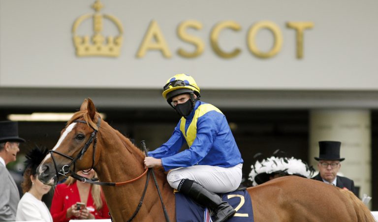 Tracking the Horses - King George Weekend - SportsHub